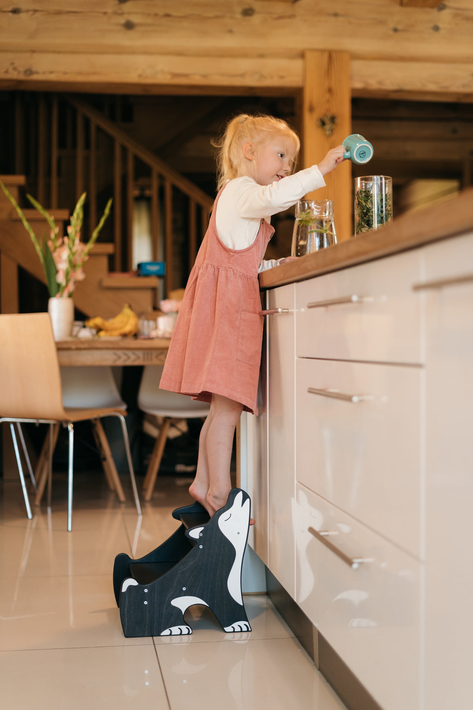 Children's Step Stool - Husky Black – Wild Kids